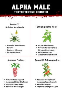 Health Synergy Store