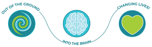 Release SCE-Forte 60 Caps